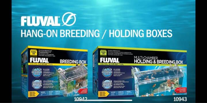 FLUVAL HANG ON BREEDING BOX — East Ocean Aquatic