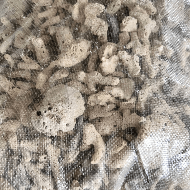 ANS Coral Chip Medium 1kg/15kg — East Ocean Aquatic