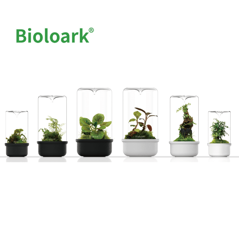 BIOLOARK - Bio Bottle Terrarium (MH-80/100/120) (Black/White) — East ...