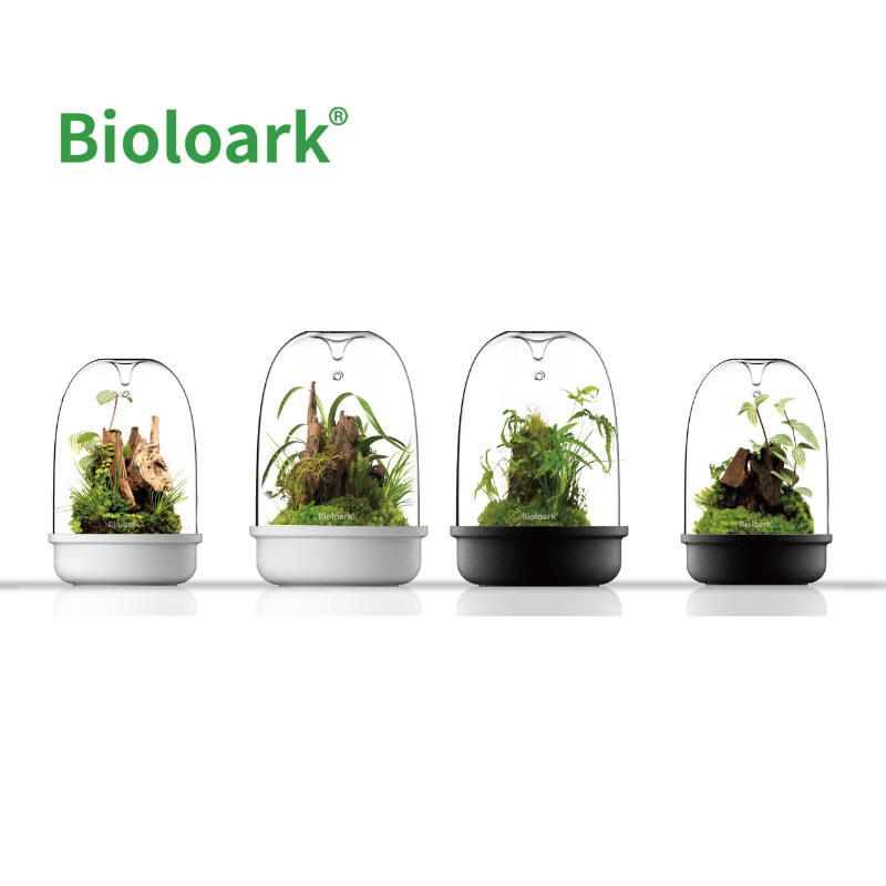 BIOLOARK - Bio Bottle Terrarium (MQ-150/175) (Black/White) — East Ocean ...