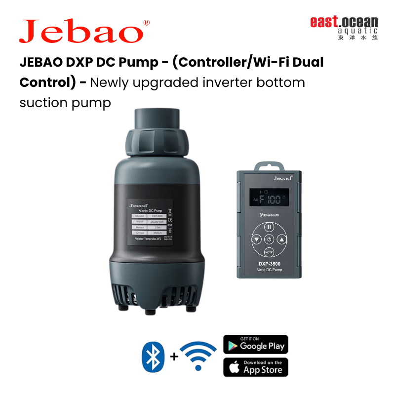 JEBAO DXP DC Pump - (Controller/Wi-Fi Dual Control) — East Ocean Aquatic