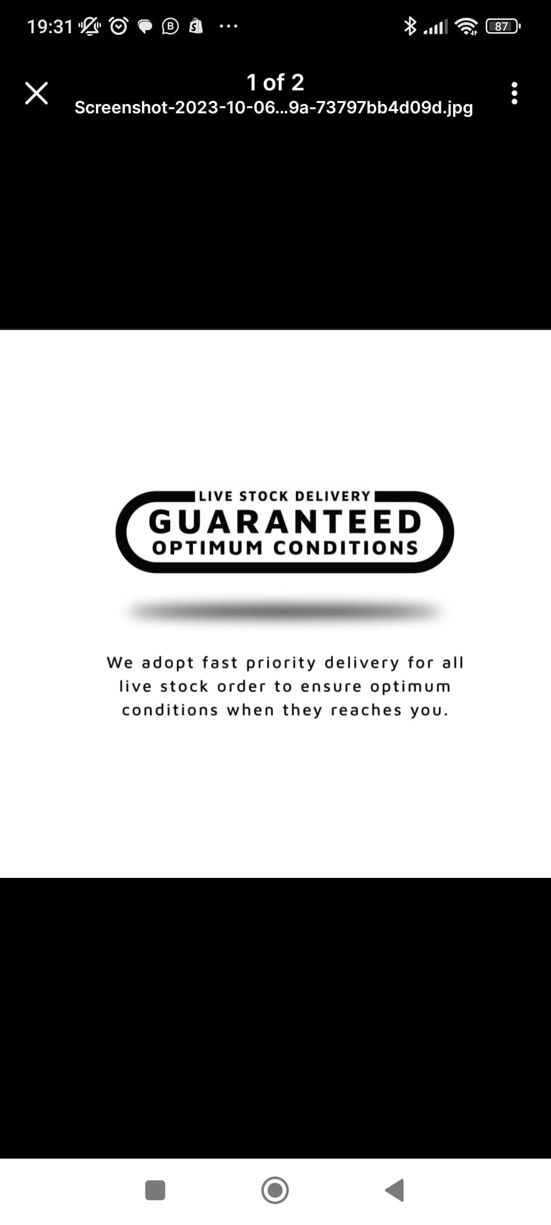 Freshwater Bottom Feeder Fish for Sale - East Ocean Aquatic