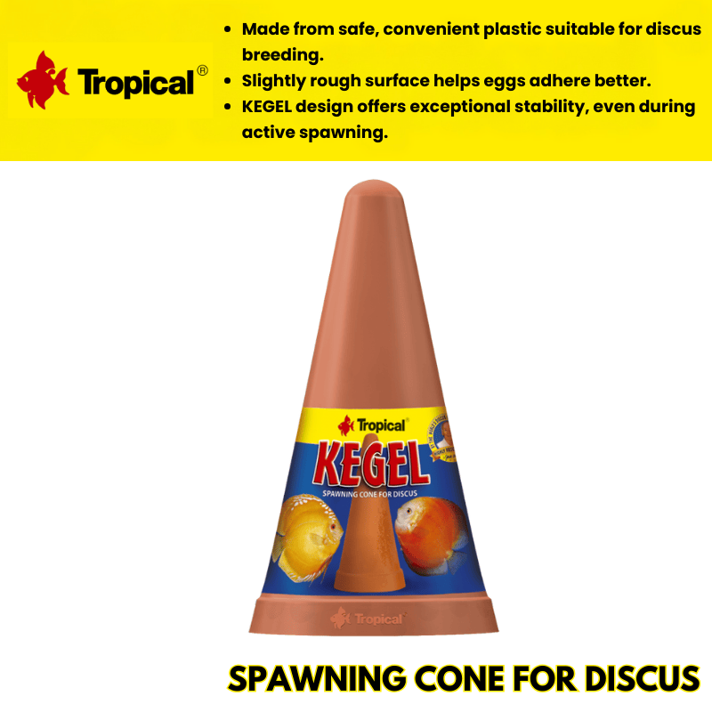 Tropical Spawning Cone For Discus (not easily broken) — East Ocean Aquatic