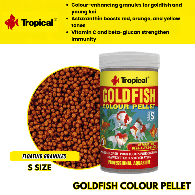 Tropical Goldfish Colour Pellet Size S (color enhancing) — East Ocean ...