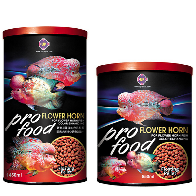 Arowana & Flower Horn — East Ocean Aquatic