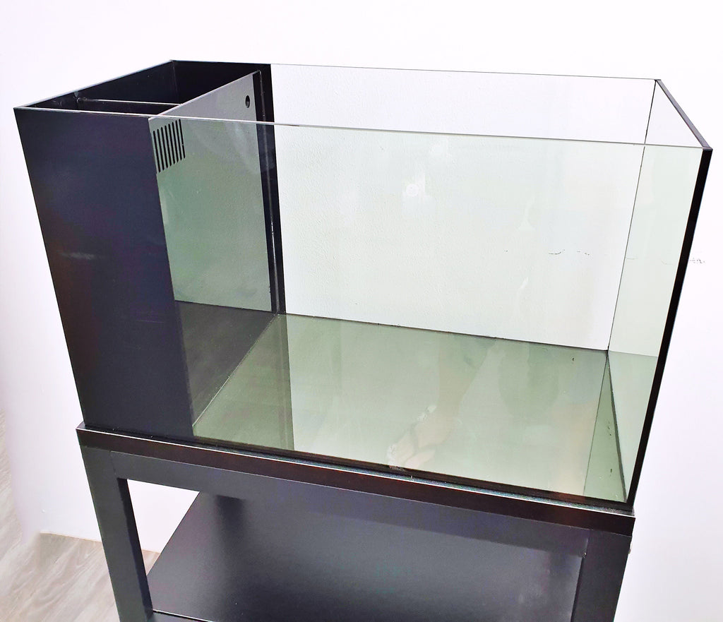 Buy Glass Aquarium & Fish Tank in Singapore | East Ocean Aquatic