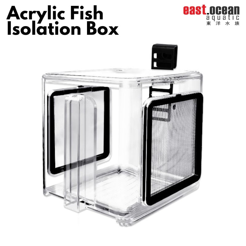 AQUAPRO HS-402 Acrylic Fish Isolation Box — East Ocean Aquatic