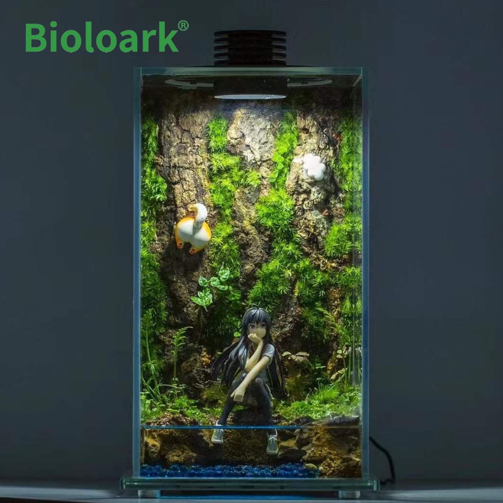 BIOLOARK - Enclosed Terrarium Tank (FD-200 / FD-250) — East Ocean Aquatic