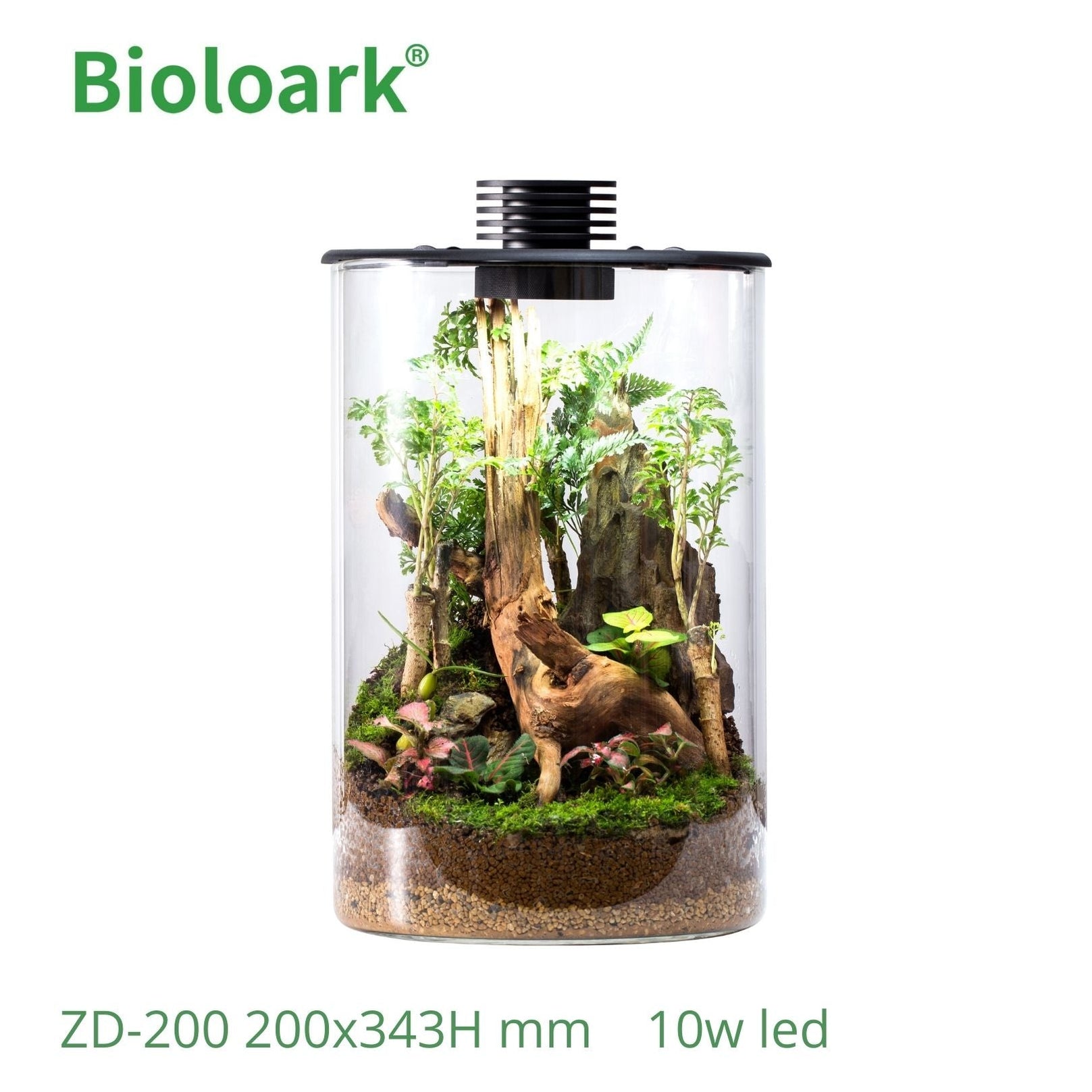 BIOLOARK - Cylindrical Terrarium (ZD-150 / ZD-200) — East Ocean Aquatic