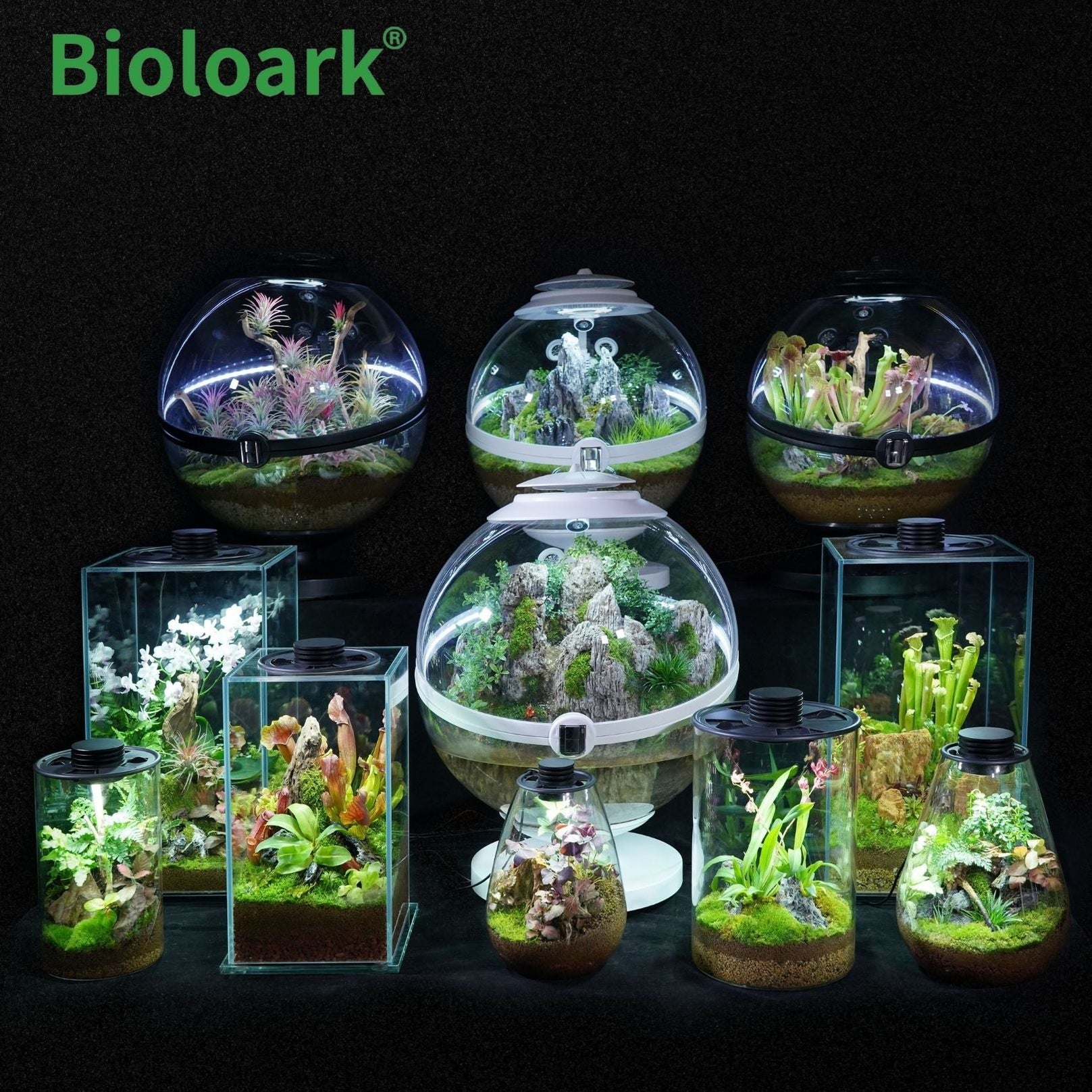 BIOLOARK - Cylindrical Terrarium (ZD-150 / ZD-200) — East Ocean Aquatic