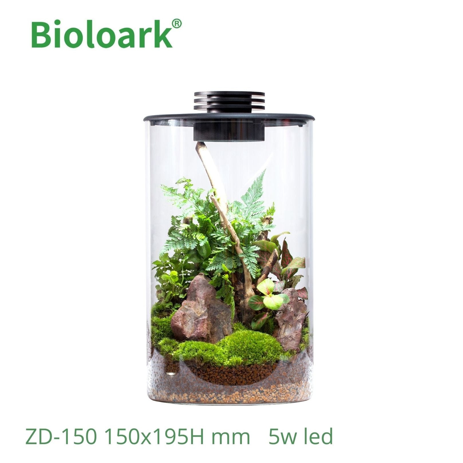 BIOLOARK - Cylindrical Terrarium (ZD-150 / ZD-200) — East Ocean Aquatic