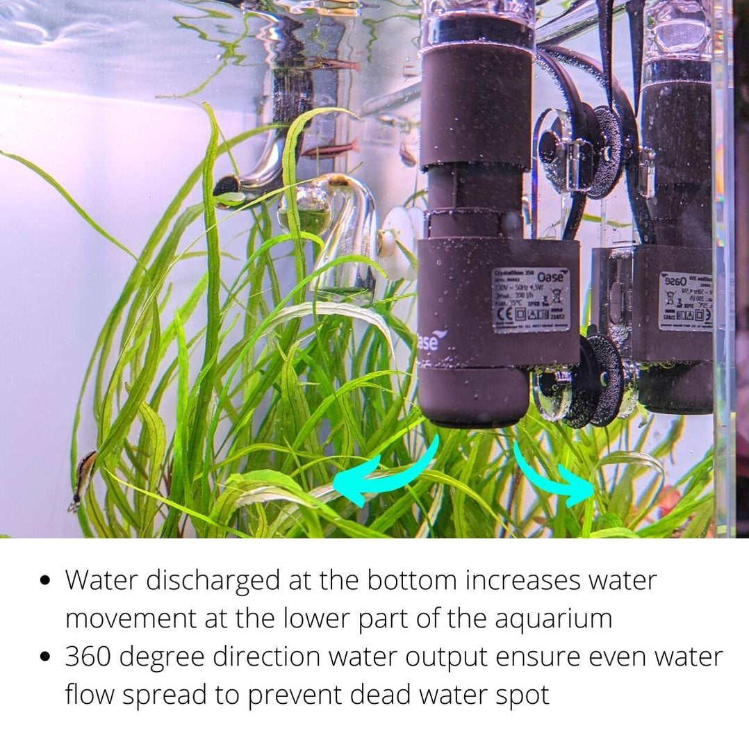 OASE Surface Skimmer CrystalSkim (350/600) — East Ocean Aquatic