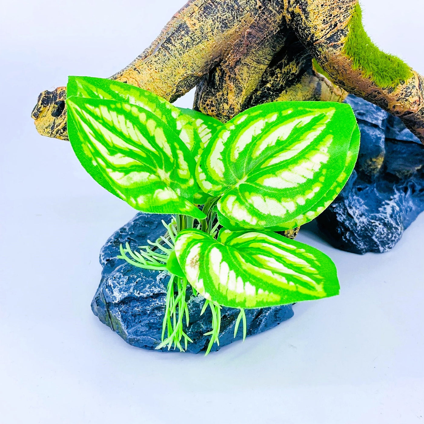 Zhen De Decoration - Wood w/ Plants - F25278-6 — East Ocean Aquatic