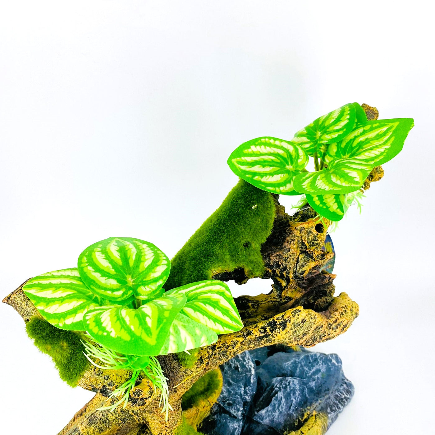 Zhen De Decoration - Wood w/ Plants - F25278-6 — East Ocean Aquatic