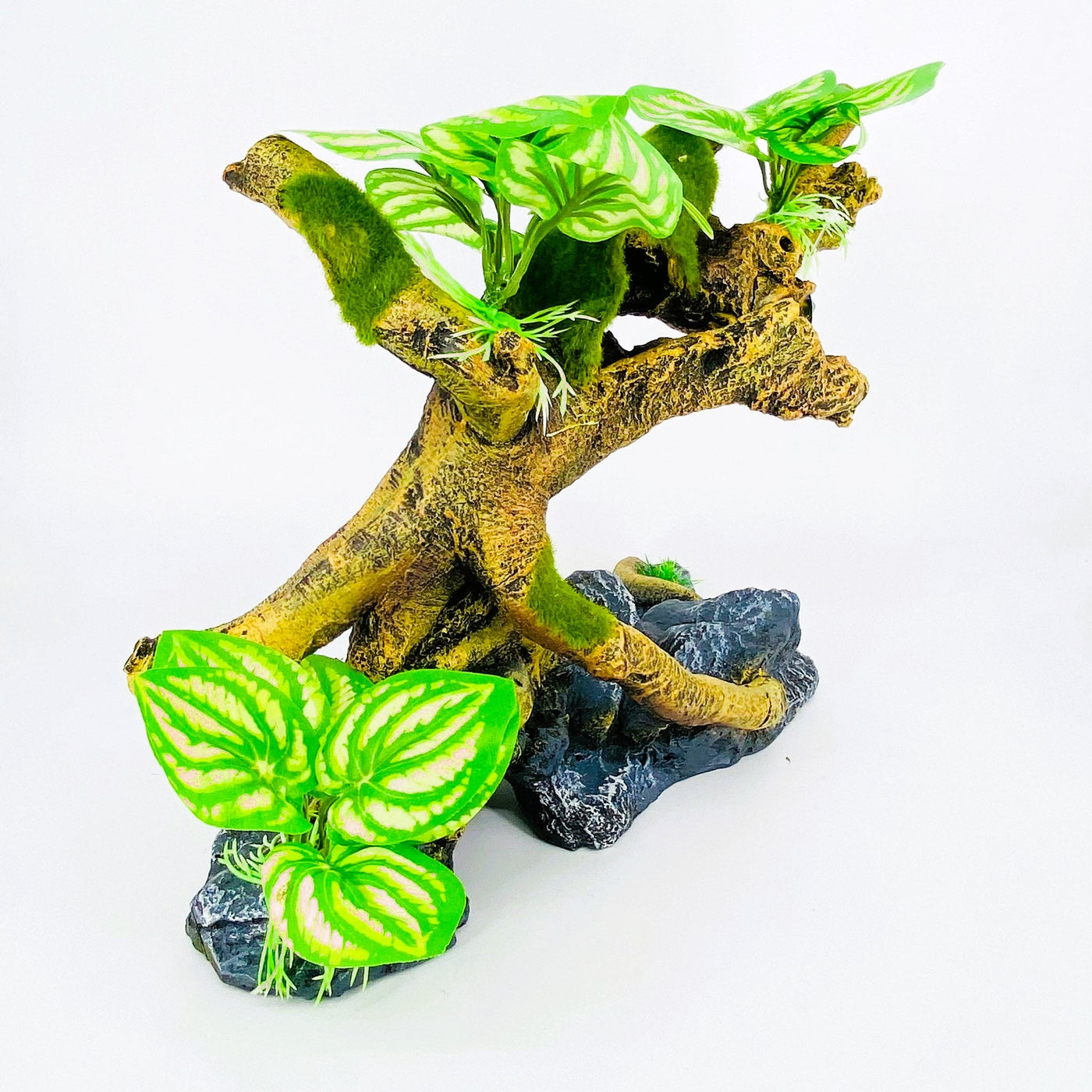 Zhen De Decoration - Wood w/ Plants - F25278-6 — East Ocean Aquatic