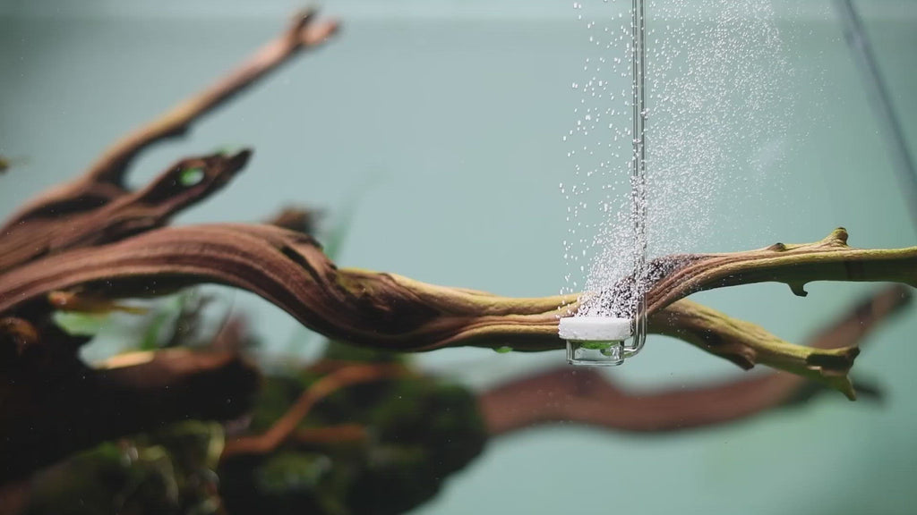 Air Stone / Diffuser — East Ocean Aquatic